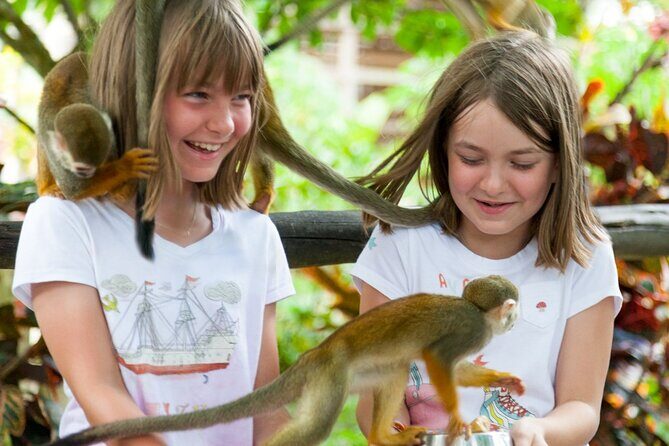 Punta Cana Monkeyland and Zipline Two Adventures in One Day - Value for Money