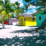 Punta Cana or La Romana: Catalina Island Tour and Snorkeling - The Sum Up