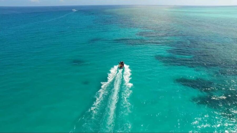 Punta Cana Parasailing Experience with Round-Trip Transfer - Why This Tour Offers Good Value