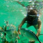 Punta Cana Party Boat Snorkeling with Music DJ and Open Bar - Price and Value