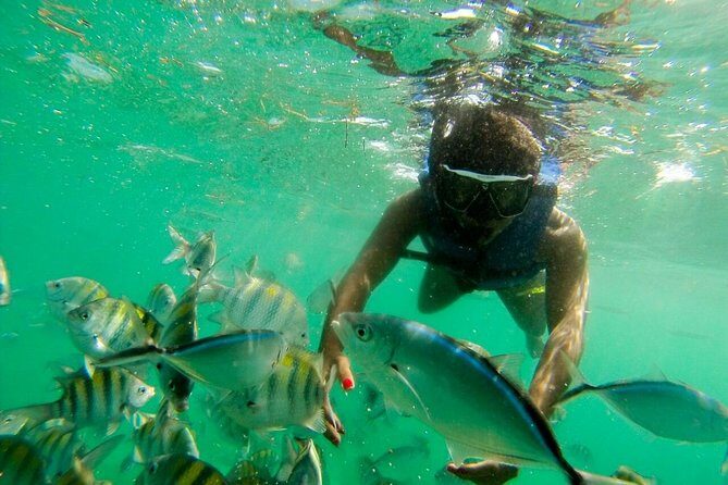 Punta Cana Party Boat Snorkeling with Music DJ and Open Bar - Price and Value