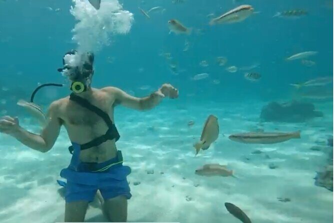 Punta Cana Party Cruise with Snorkeling, Hooka Diving and Parasailing - Authentic Experiences from Travelers