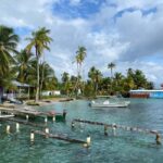 Punta Cana: Private Catalina Island Snorkeling Trip with - Transportation, Timing, and Group Size