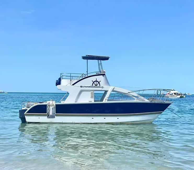 Punta Cana: Private Catamaran Cruise with Open Bar - How This Tour Compares with Other Experiences