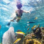 Punta Cana Private Cruise Up To 10 Snorkeling & Seafood lunch - What’s Included and What to Consider