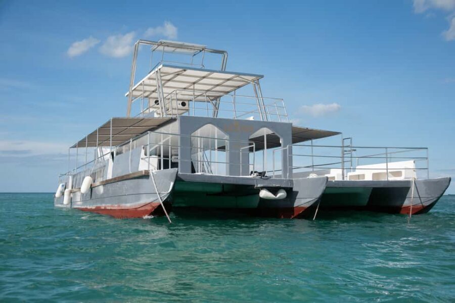 Punta Cana Private Mega Catamaran Tour with Snorkeling & Bar - The Journey: Cruising Along Punta Cana’s Coastline