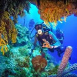 Punta Cana: Reef Diving Adventure Explore Underwater Wonders - The Itinerary: What to Expect