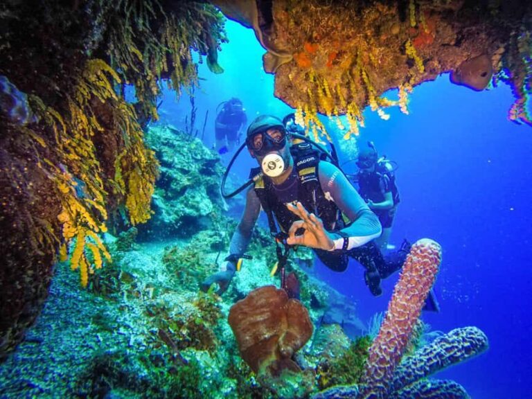 Punta Cana: Reef Diving Adventure Explore Underwater Wonders