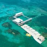 Punta Cana: Reef Explorer Access w/ Sharks & Stingrays Swim - Snorkeling and Marine Encounters