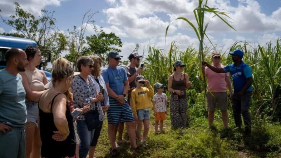 Punta Cana: Safari and City Tour with Horseback Riding - What Makes This Tour Stand Out?