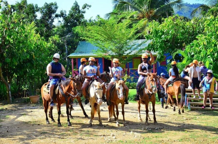 Punta Cana: Safari Zip-Line, Buggy and Horse Riding - Why This Tour Is a Good Choice