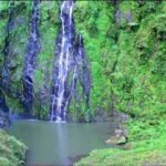 Punta Cana: Salto La Jalda & Montana redonda - Practical Details and Value