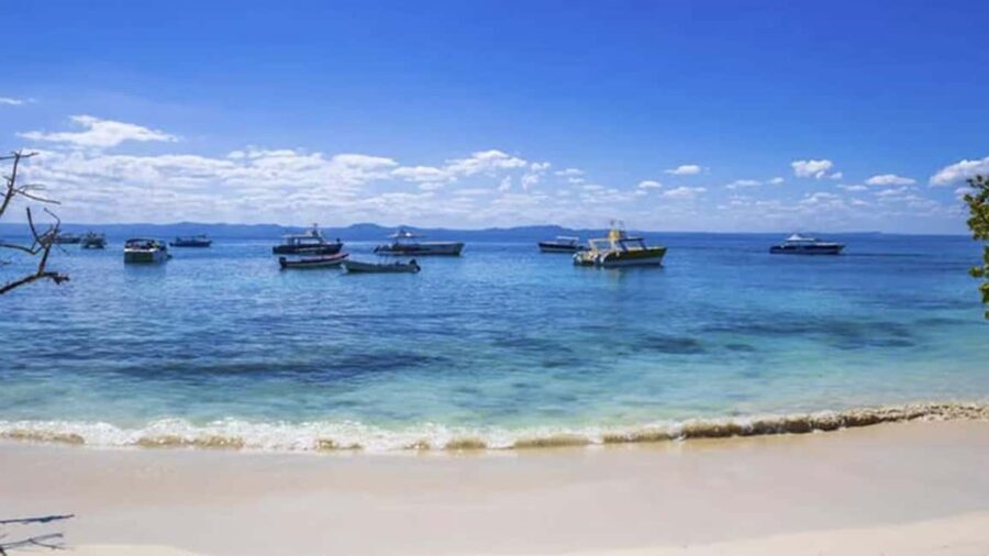 Punta Cana: Samaná Day Trip with El Limón & Bacardí Island - Transport, Duration, and Group Size