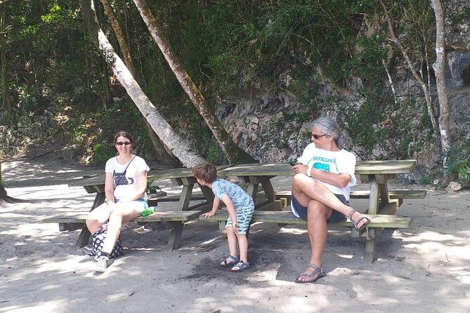 Punta Cana: Samaná, Lemon Falls and Bacardi Island - Visit to Samaná and the Mangroves