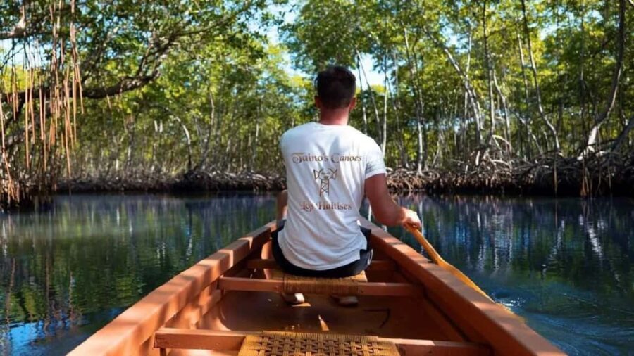 Punta Cana: Samaná Peninsula & Cayo Levantado Day Trip - Analyzing the Value