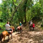 Punta Cana: Samana safari between waterfalls and beaches - Who Will Love This Tour?