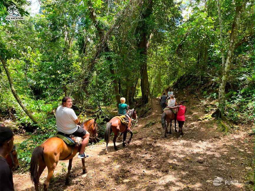 Punta Cana: Samana safari between waterfalls and beaches - Who Will Love This Tour?