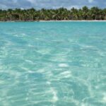 Punta Cana: Saona Island All-Inclusive Day Trip - The Practical Details: What to Know Before You Go