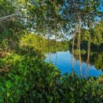 Punta Cana: Saona Island and Chavón River Combo with Guided Tours - What Makes This Tour Stand Out?