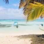Punta Cana: Saona Island Catamaran Adventure with Lunch - The Destination: Saona Island