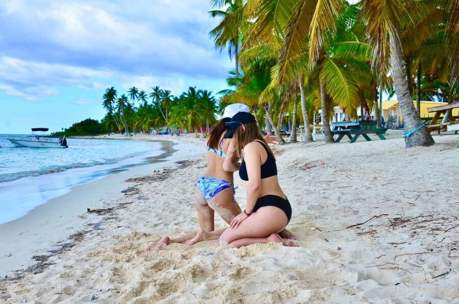 Punta Cana: Saona island Catamaran Deluxe - Transportation, Group Size, and Overall Comfort