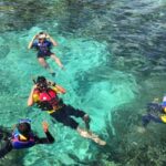 Punta Cana: Saona Island Catamaran Food Drink With Transport - Authentic Insights from Reviews