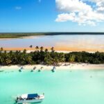 Punta Cana: Saona Island Catamaran Open Bar / Food Hotel Pickup - Authentic Experiences and Tips