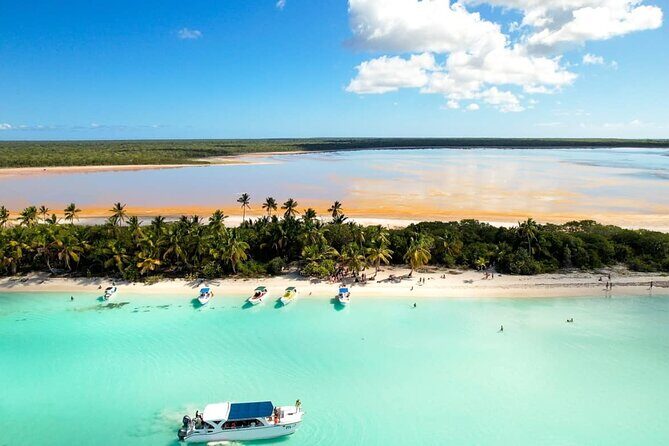 Punta Cana: Saona Island Catamaran Open Bar / Food Hotel Pickup - Authentic Experiences and Tips