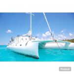 Punta Cana: Saona Island Day Trip with Catamaran Cruise - What Makes This Tour Stand Out?