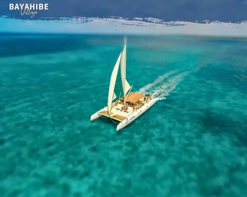 Punta Cana: Saona Island Day Trip with Lunch & Drinks - Who Will Love This Tour?