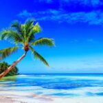 Punta Cana: Saona Island Day Trip with Open Bar and Lunch - Transportation and Group Size