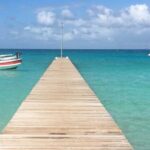 Punta Cana: Saona Island Day Trip with VIP Option - Final Thoughts: Is This the Right Trip for You?