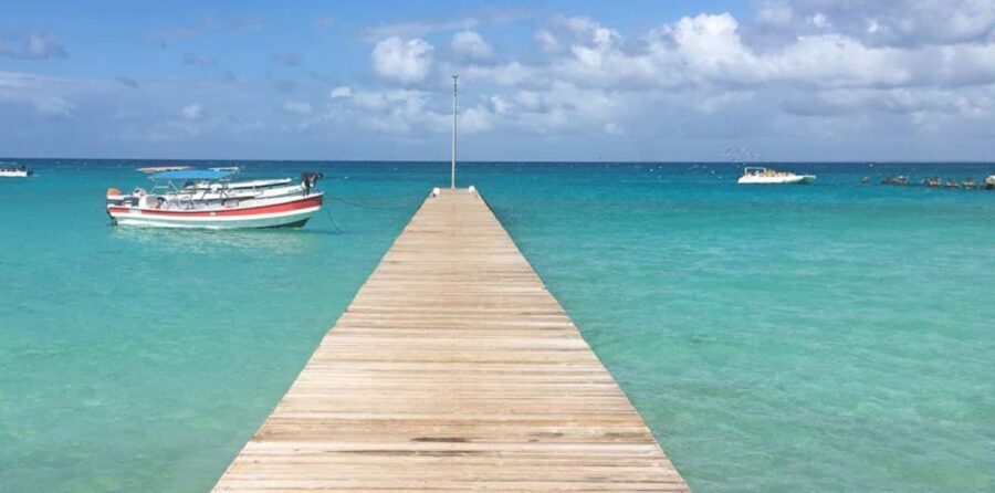 Punta Cana: Saona Island Day Trip with VIP Option - Final Thoughts: Is This the Right Trip for You?