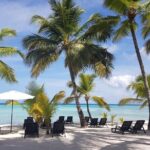 Punta Cana: Saona Island Food And Drink Catamaran Hotel Pickup - A Well-Organized, Personalized Caribbean Escape