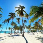 Punta Cana: Saona Island Premium 3 beaches - Key Points