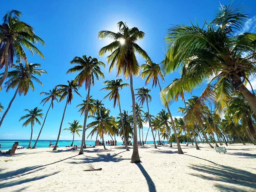 Punta Cana: Saona Island Premium 3 beaches - Key Points