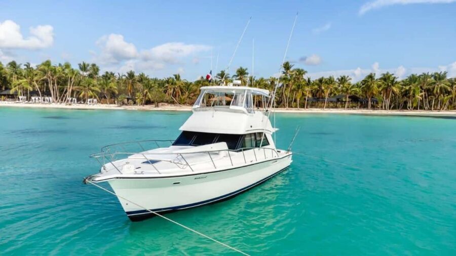 Punta Cana: Saona Island Private Yacht Tour with Snorkeling - The Itinerary in Detail