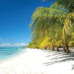 Punta Cana: Saona Island Speedboat and Catamaran Tour - Who Should Consider This Tour?