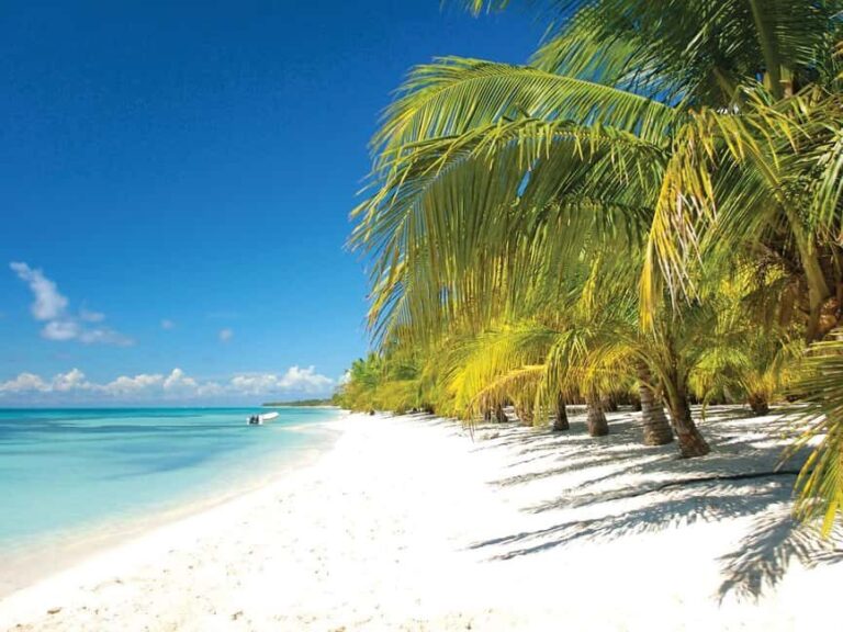 Punta Cana: Saona Island Speedboat and Catamaran Tour - Who Should Consider This Tour?