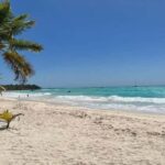 Punta Cana: Saona Island Speedboat Tour with Lunch - Setting the Scene: What to Expect on the Tour