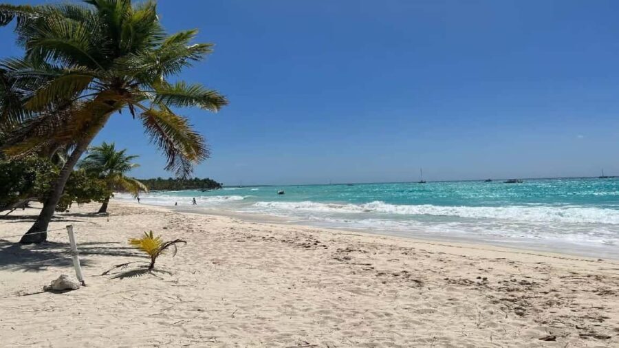 Punta Cana: Saona Island Speedboat Tour with Lunch - Setting the Scene: What to Expect on the Tour