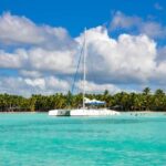 Punta Cana: Saona Island Tour with Transportation - What Makes This Tour Stand Out?