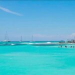 Punta Cana: Saona Island VIP Catamaran Tour with Lunch - Why Travelers Love It