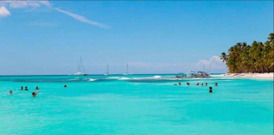 Punta Cana: Saona Island VIP Catamaran Tour with Lunch - Why Travelers Love It