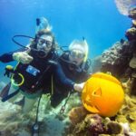 Punta Cana: Scuba Diving Adventure to Catalina Island - The Sum Up