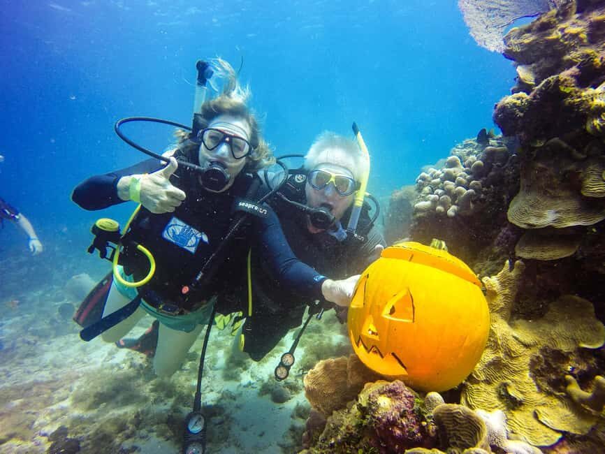 Punta Cana: Scuba Diving Adventure to Catalina Island - The Sum Up