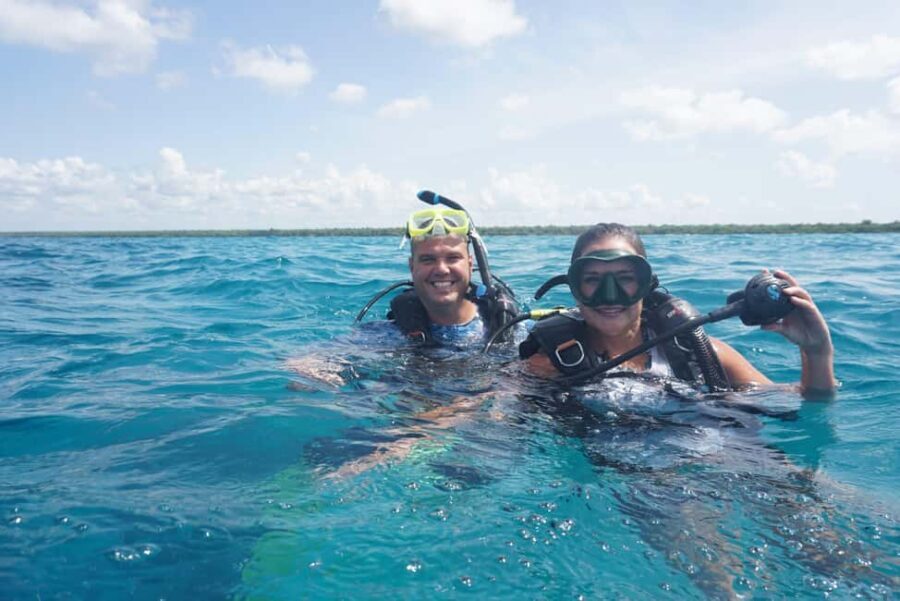 Punta Cana: Scuba Diving Catalina Island Cruise with Lunch - Why This Tour Offers Good Value