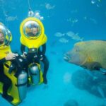 Punta Cana: Scuba Doo Underwater Scooter Adventure - Detailed Breakdown of the Tour