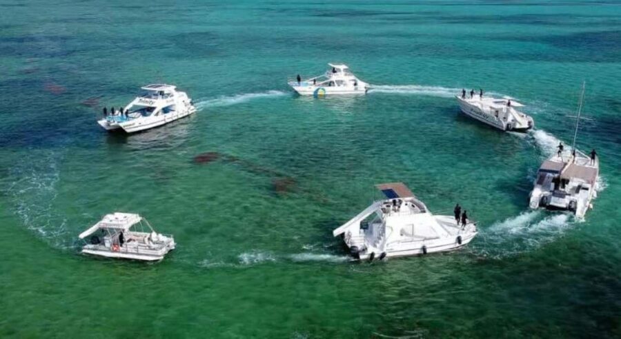 Punta Cana: Snorkeling Cruise with Open Bar & Snacks - A Detailed Look at the Trip