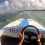 Punta Cana Speed Boat Tour and Snorkeling - Snorkeling and Underwater Encounters